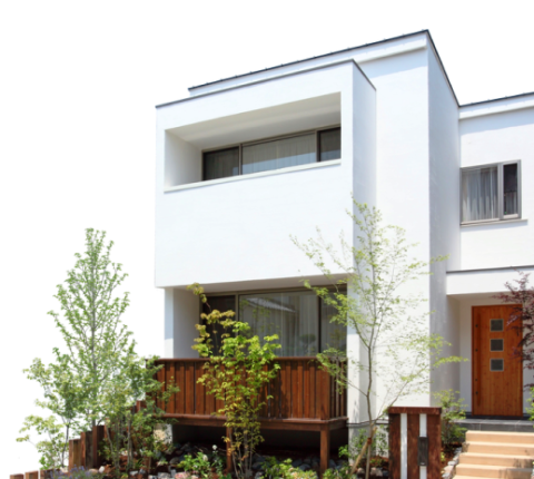 Contact Holistic Group – Get in Touch with Us